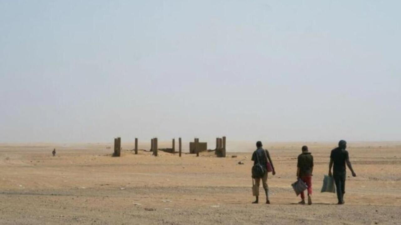 Halisa, Algerie bɛ ka tunkanatalaw gwɛn, k'u bila u yɛrɛ ma Niger ...