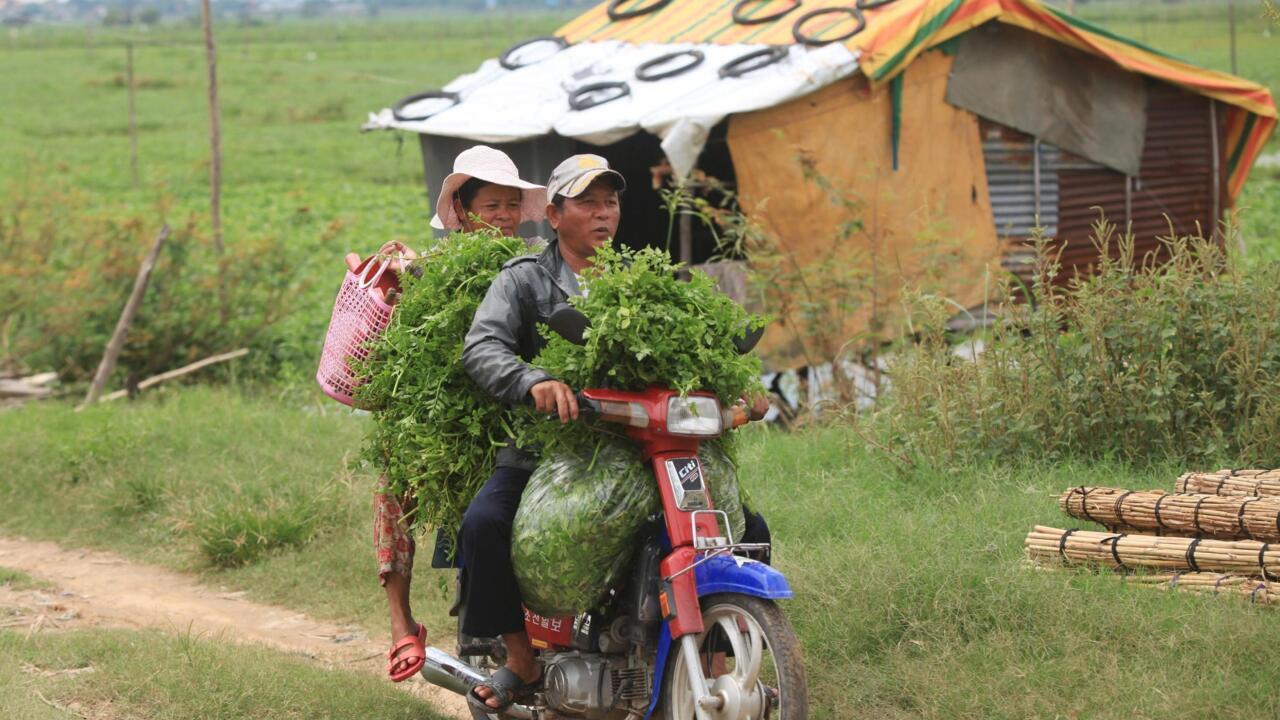 La pobreza rural, obstáculo mayor del desarrollo - Enfoque Internacional