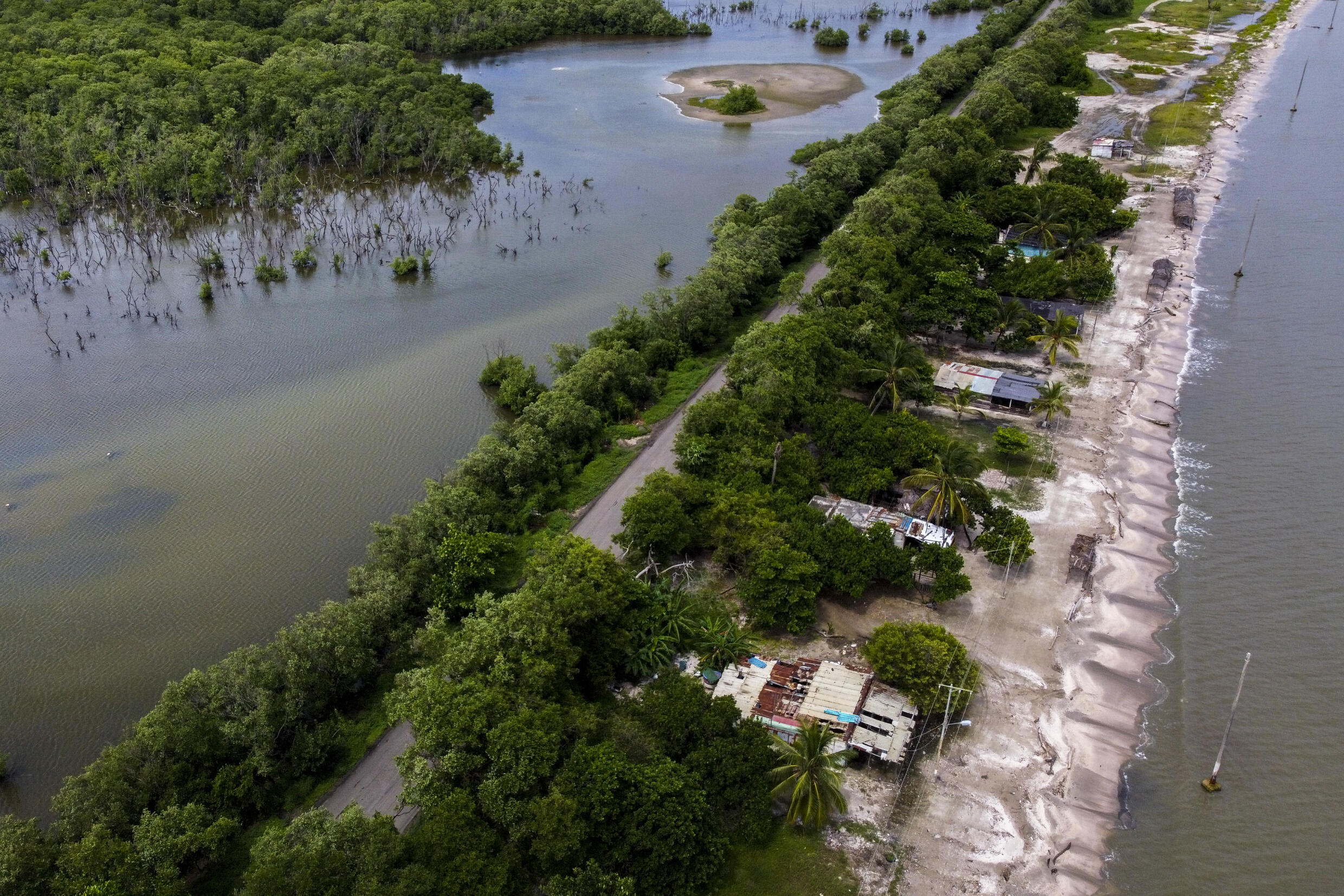 La lucha para salvar a "La Reina" en Venezuela