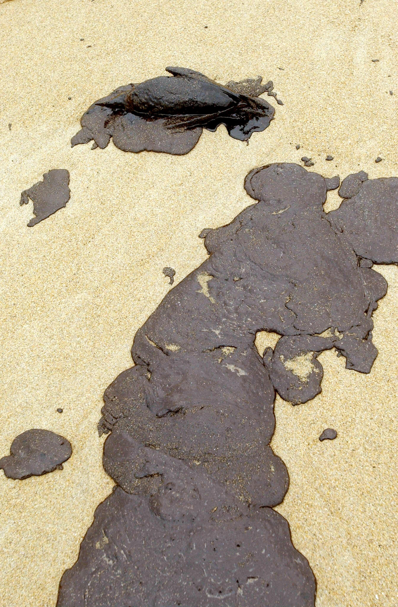 Hace 20 años, la marea negra del "Prestige" inundó las costas de Galicia