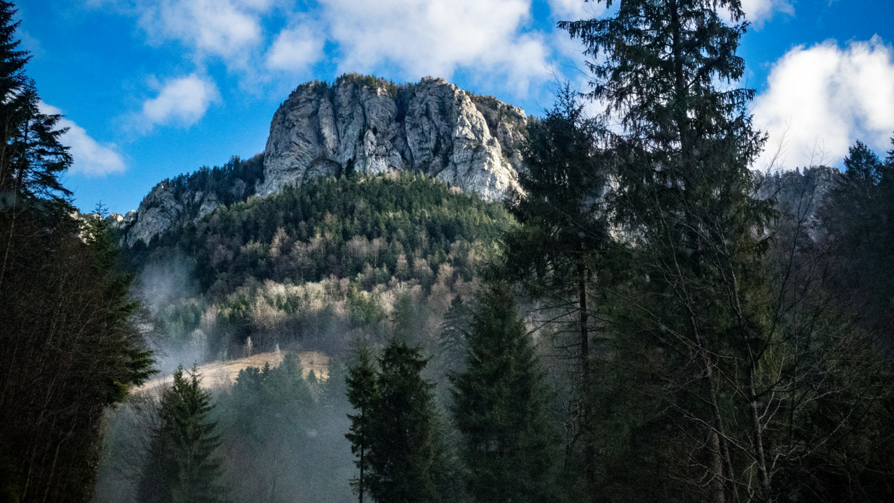 Thomas Bourdeau - RFI