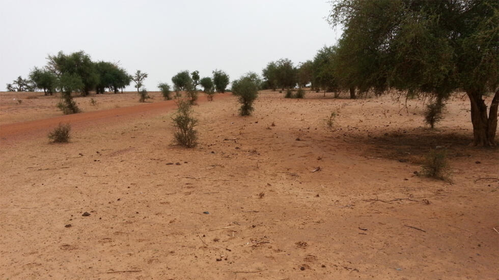 La tradition orale Zarma - De vive(s) voix