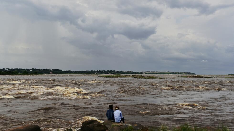 Biodiversité: mieux la protéger, une préoccupation aussi en RDC