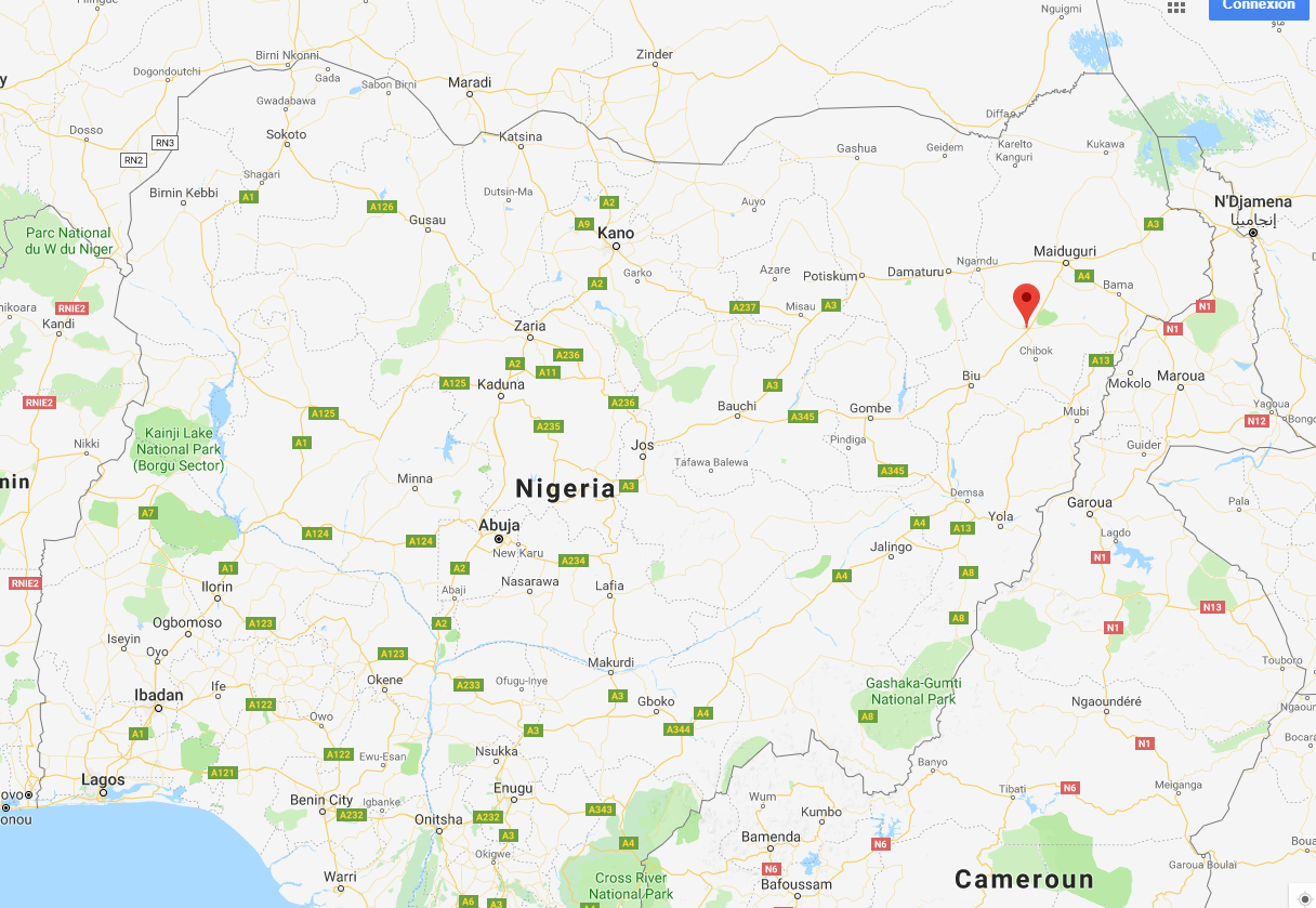 Nigeria: six kamikazes se font exploser à Damboa, de nombreux morts et ...