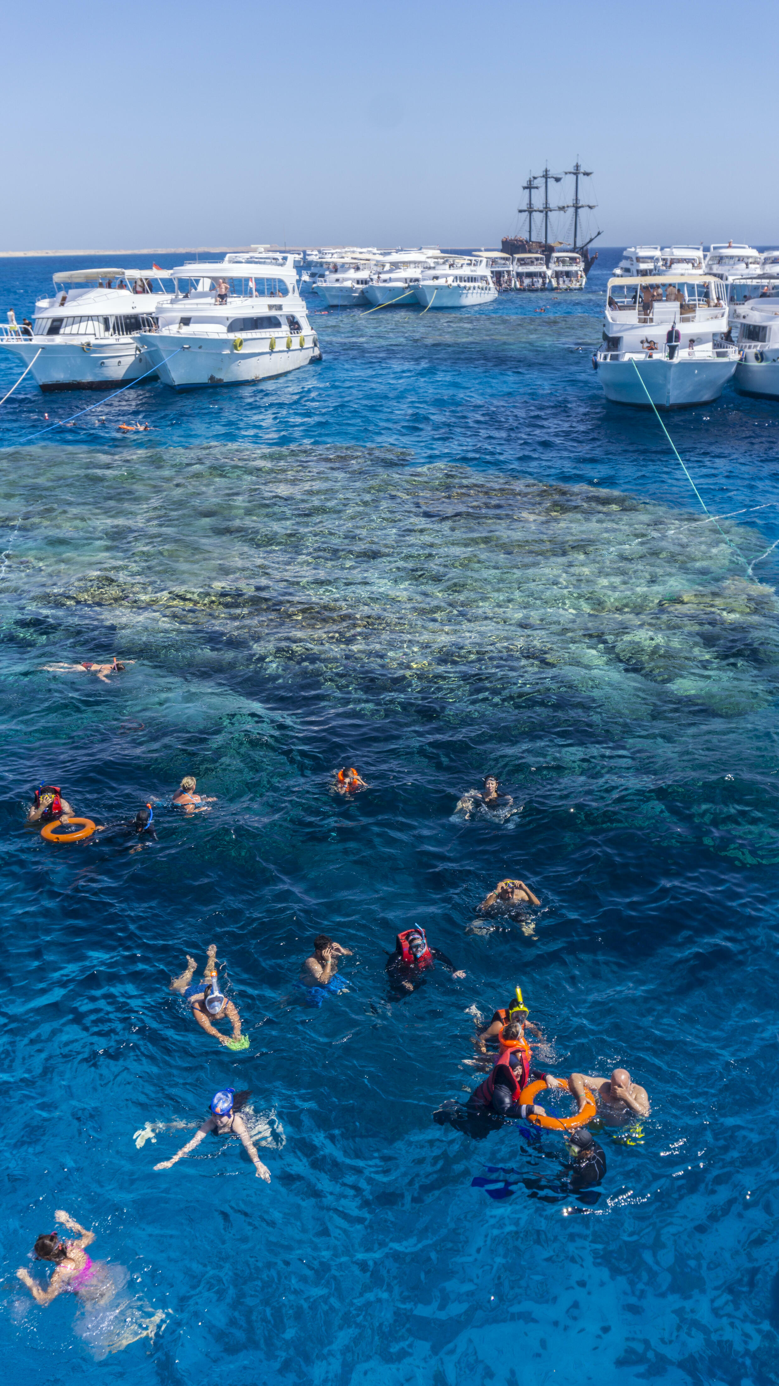 In Egypt's Red Sea, corals fade as oceans warm - RFI