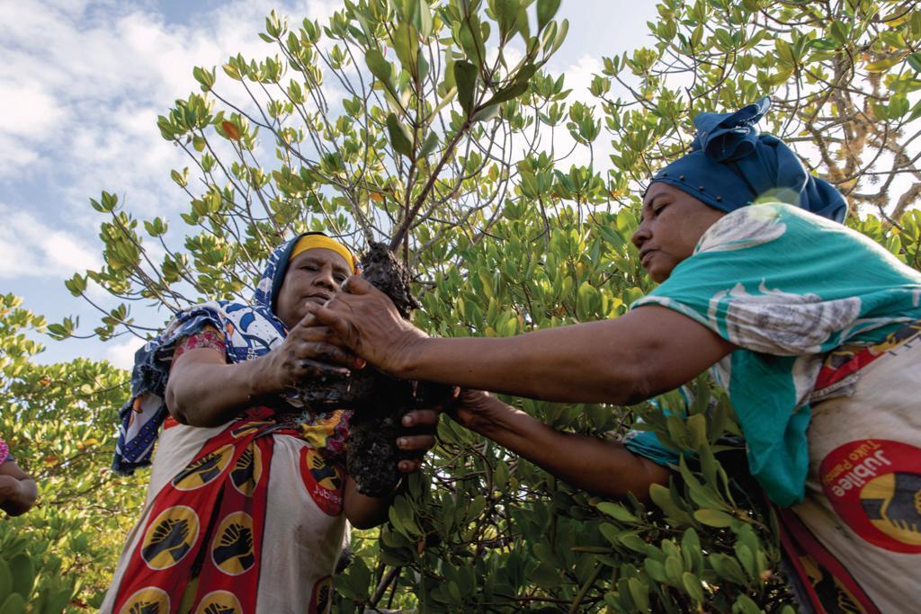 Mbinu za kiasili ili kukabiliana na changamoto za kijamii na hali ya ...