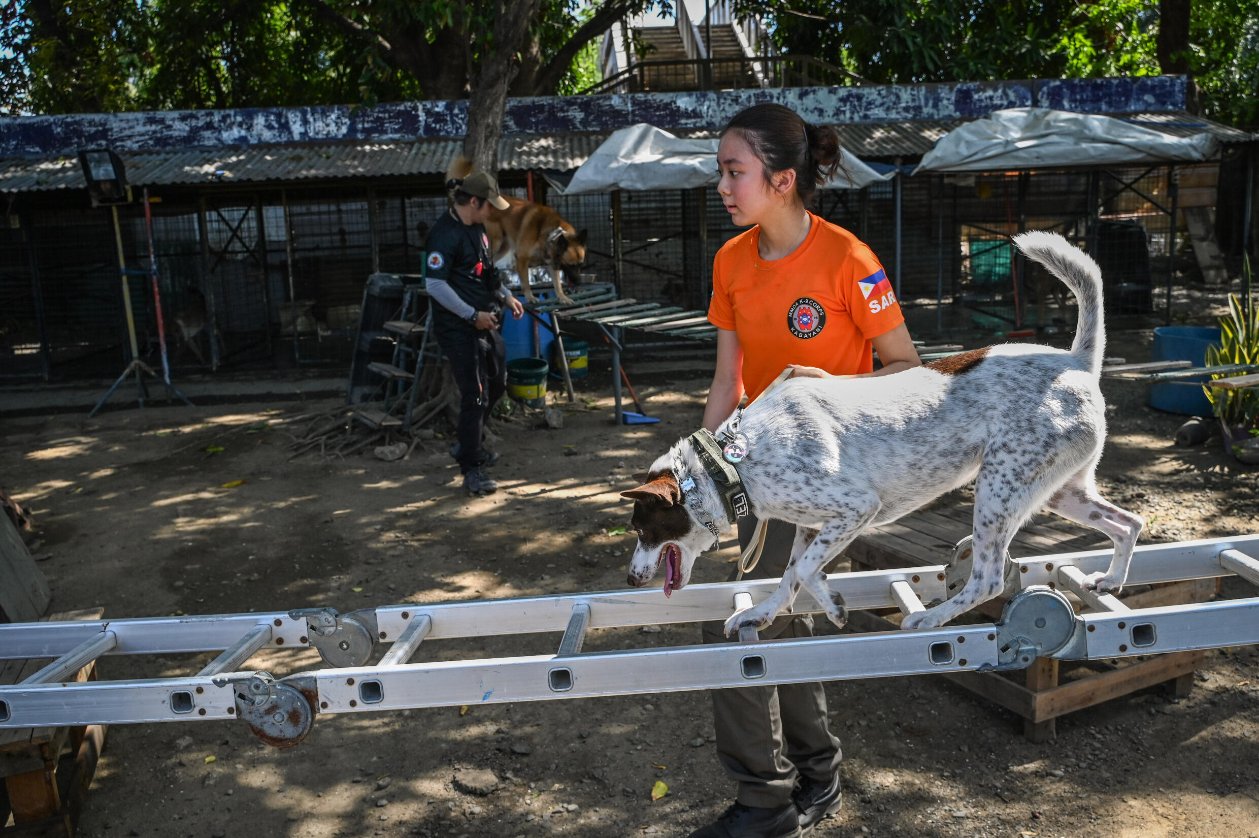 Philippines trains pet dogs for search and rescue