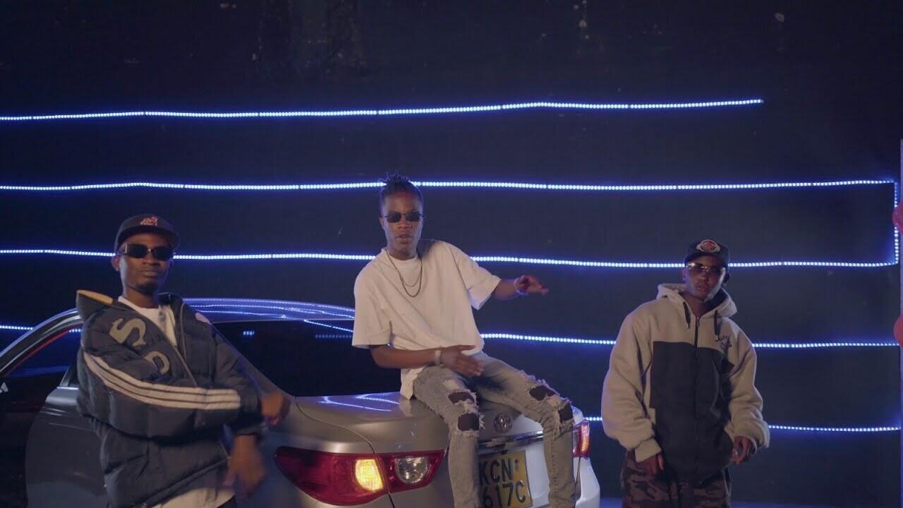 NIKO BASE - Niko Base