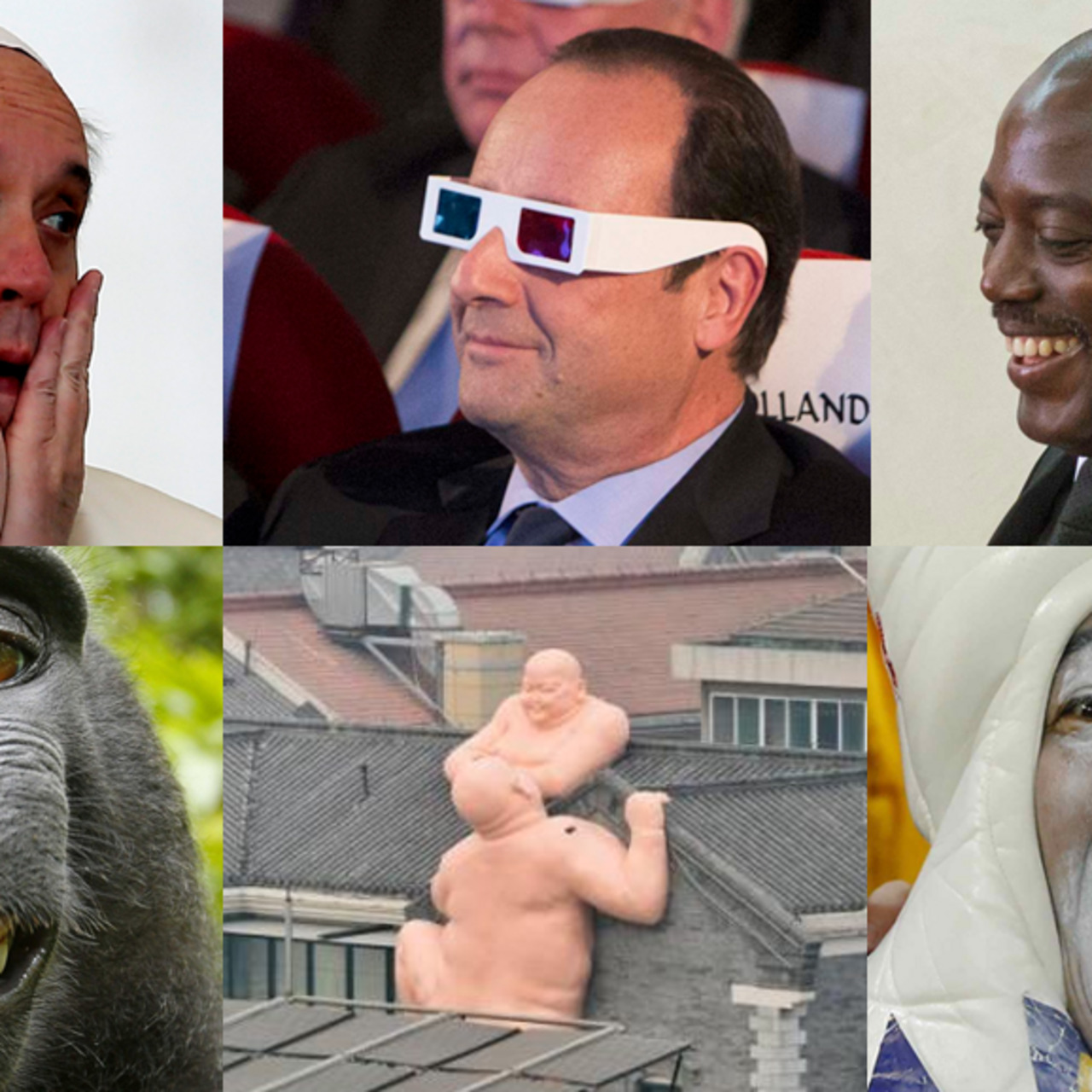 Les Photos De Singes Les Plus Drôles