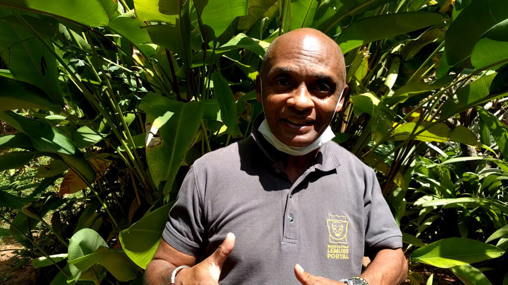 Faune: une nouvelle espèce de lémurien découverte à Madagascar