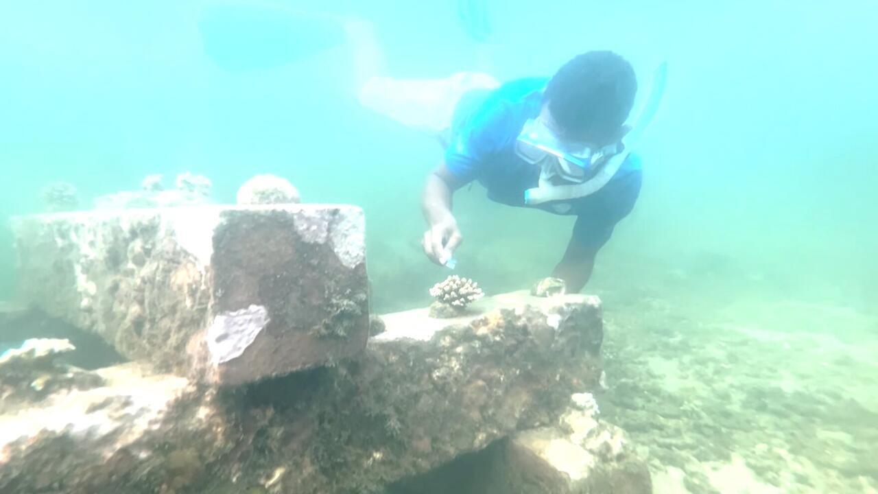 Jamii katika Pwani ya Kenya inavyotumia mswaki "Toothbrush" kurejesha ...