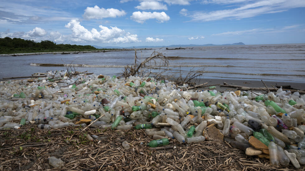Plastic litter in oceans overestimated, study suggests