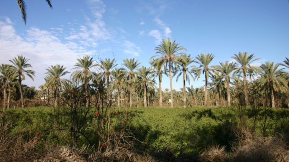 Tunisie: Gabès tarde à ne plus être l’une des villes les plus polluées ...