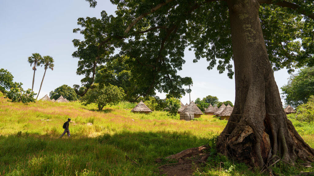 Sénégal Oriental: sur la piste du Caméléon #01 - Si loin si proche - RFI