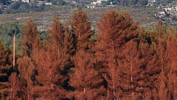 Environnement: Bruxelles ouvre une enquête sur les boues rouges de Gardanne