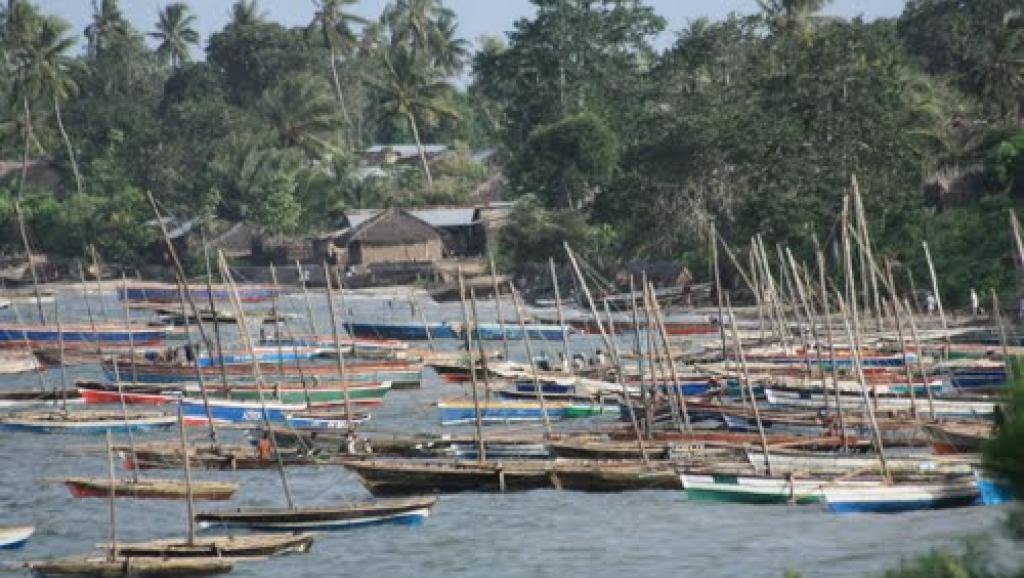 Mocímboa da Praia: notícias, podcasts, vídeos e análises - RFI