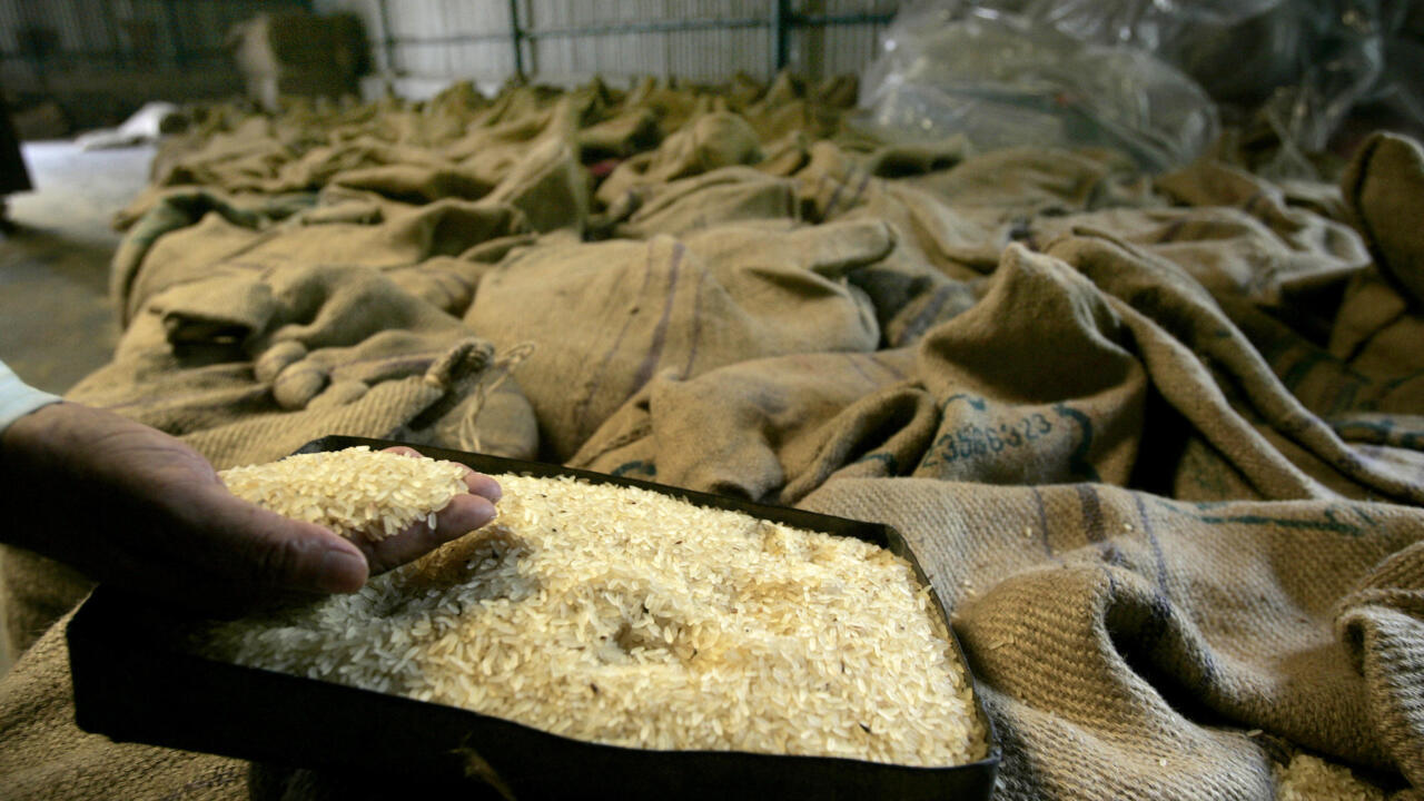 Guinée: le succès d'une rizerie dans la région de Boké - Afrique économie