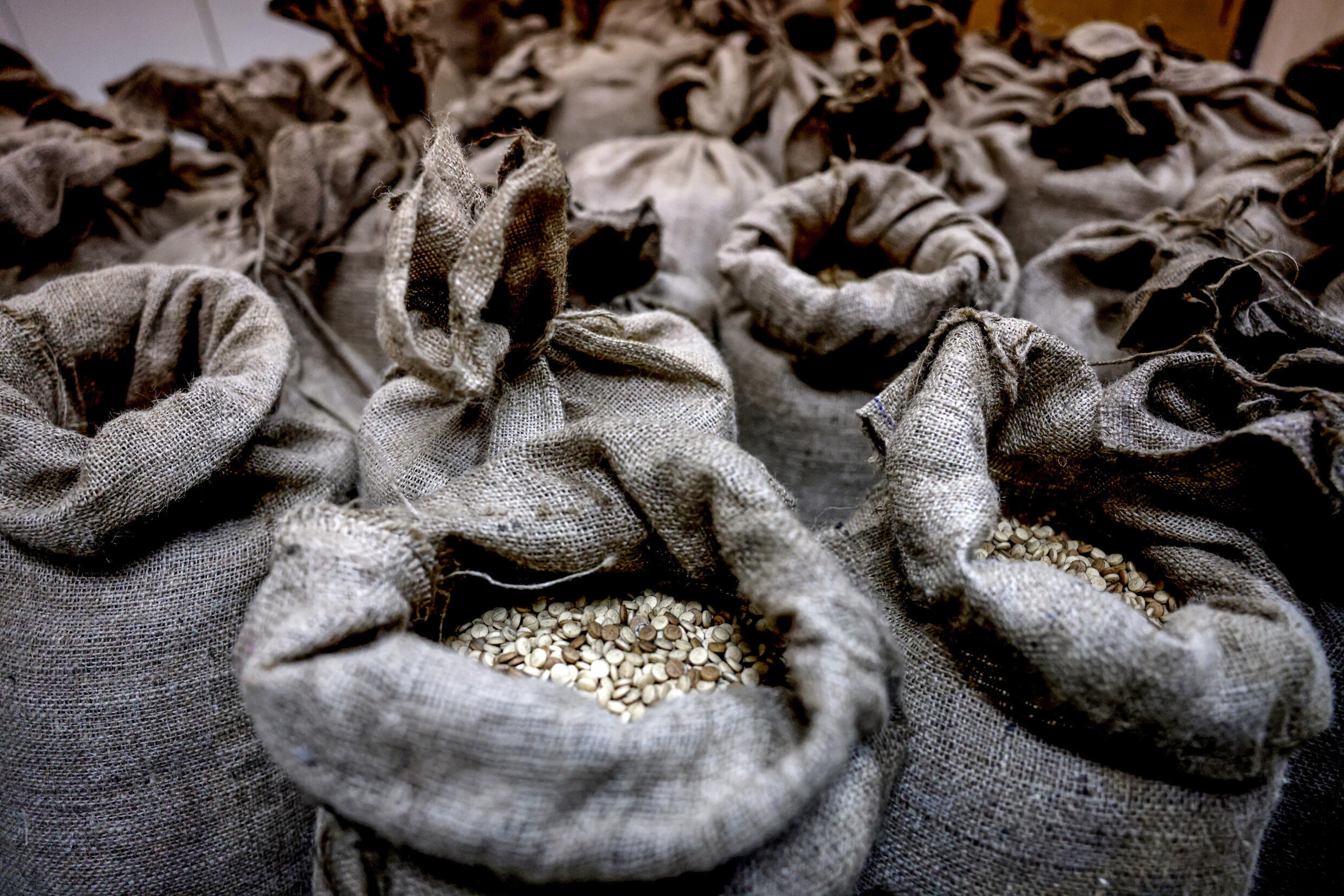 De cómo el captagon convirtió a Siria en un narcoestado