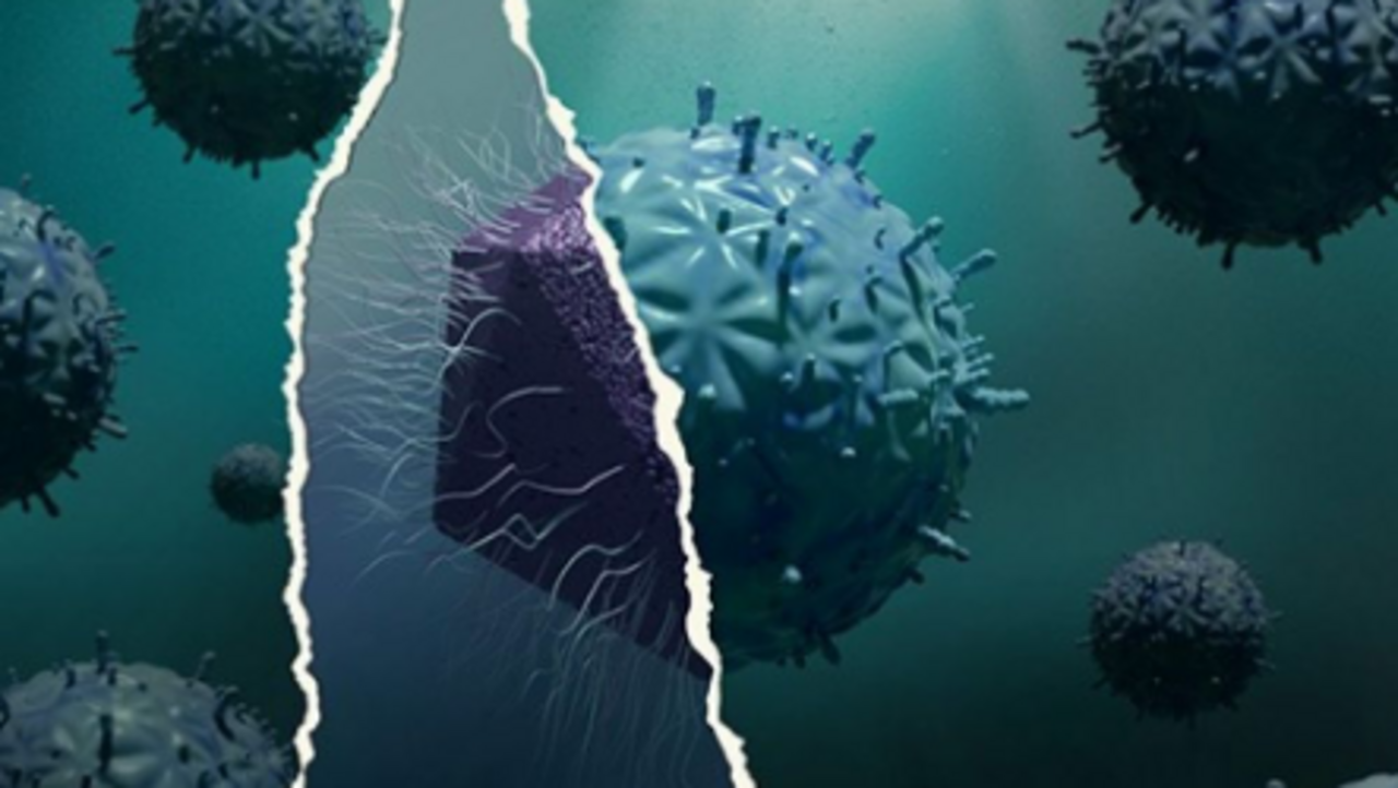 Quels sont ces étranges virus découverts dans les océans? - Autour de ...