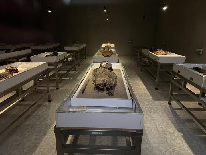 ¿Sabían que las momias más antiguas del mundo no se encuentran en ...