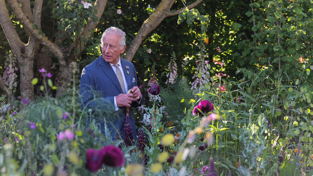 Carlos III advierte que el mundo pierde terreno en lucha contra el ...