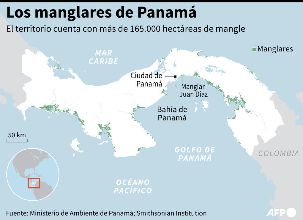 Manglares de Panamá, un amenazado "resort" para las aves migratorias de América
