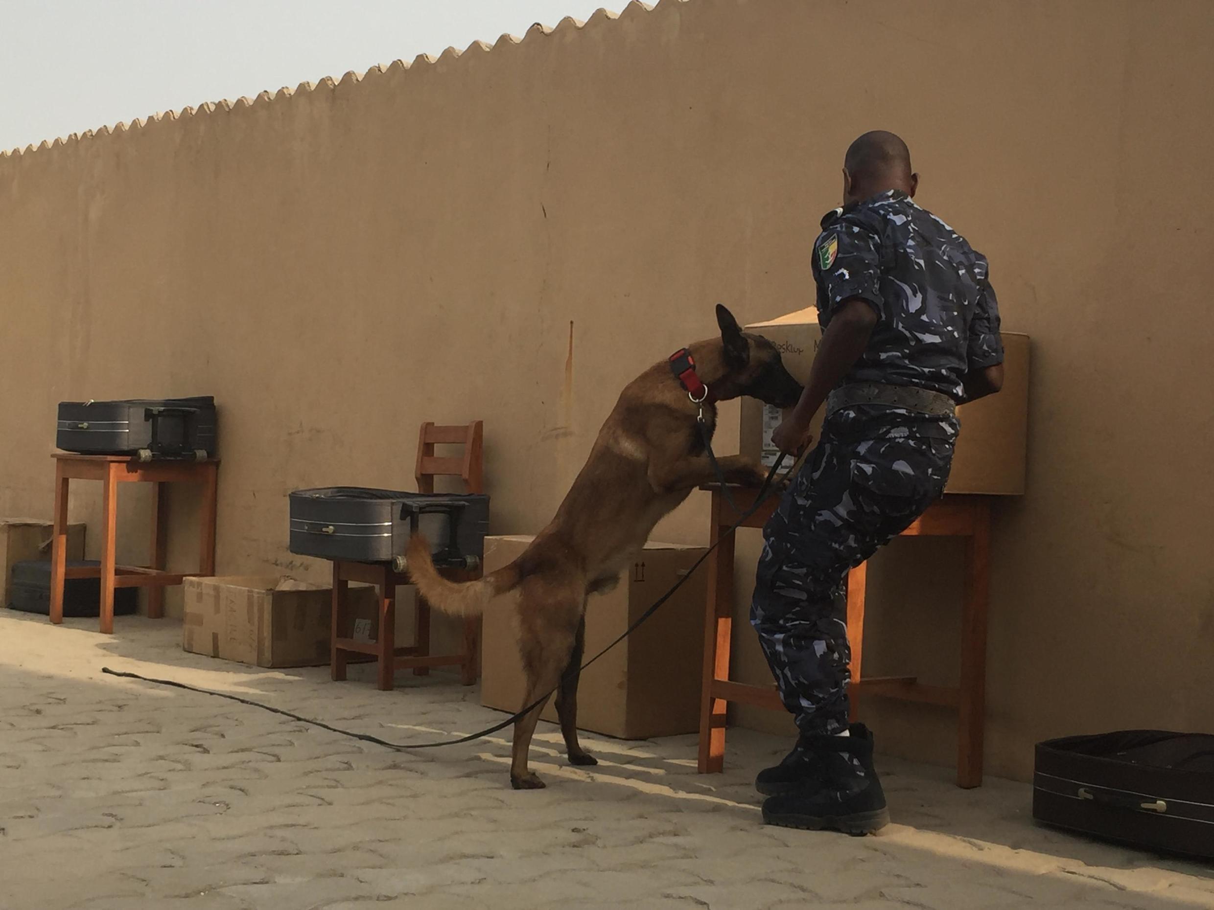 Au Bénin, la brigade canine se renforce et se modernise - Reportage Afrique