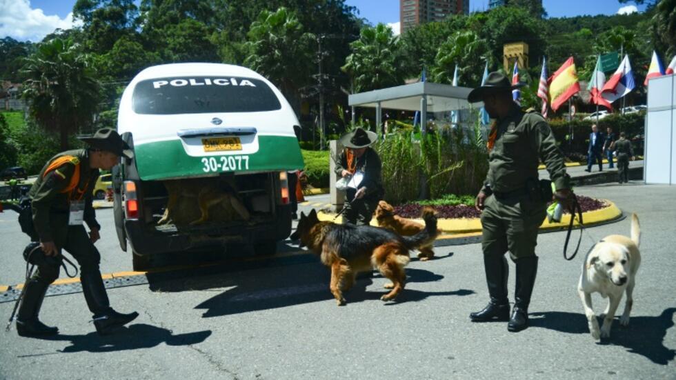 Su majestad el perro sigue ganando terreno en Colombia - París América