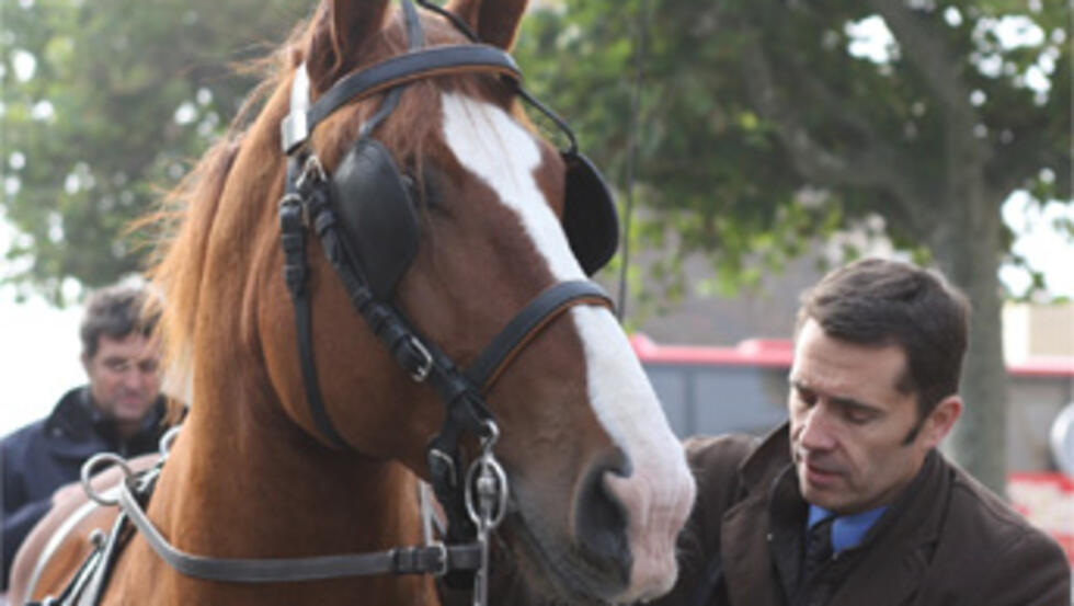 1 - Le regard sur l’actualité environnementale d’Olivier Linot - C'est ...