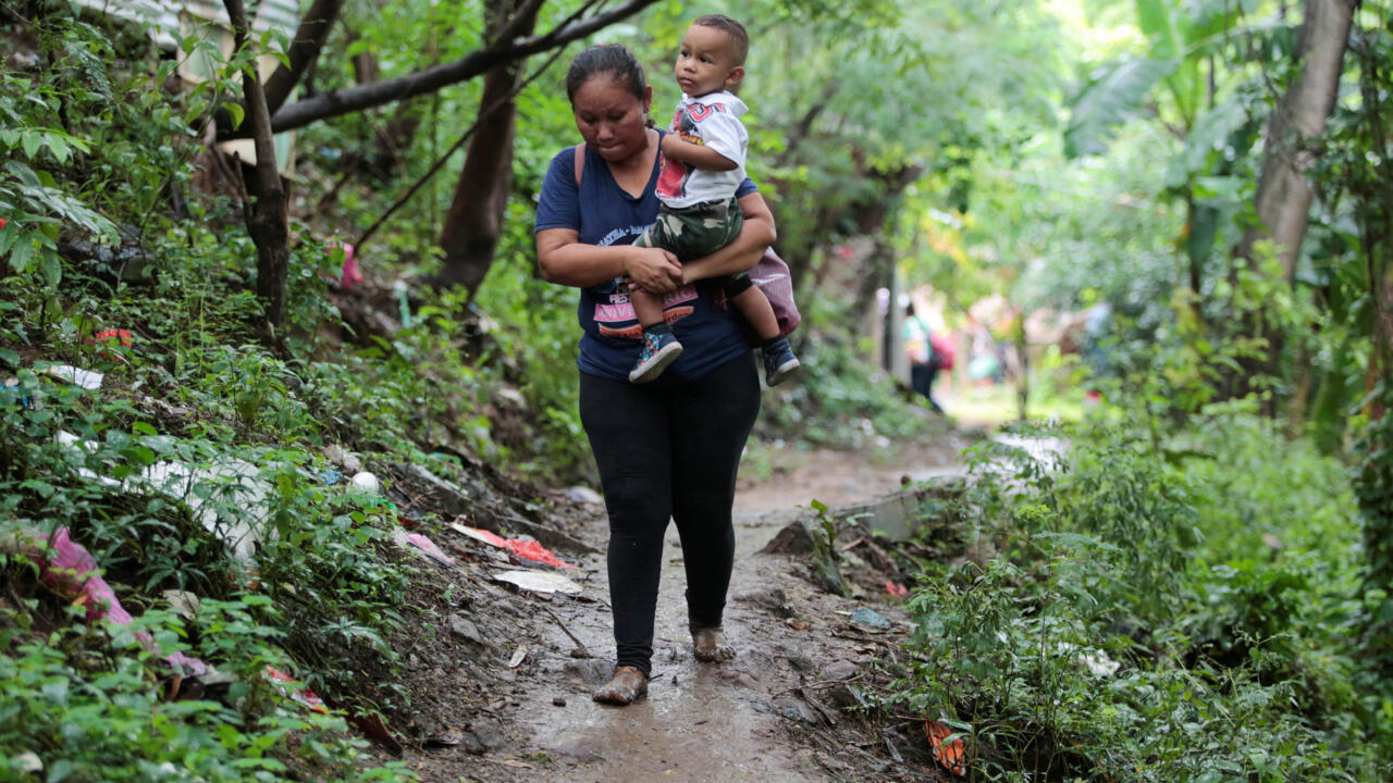 Costa Rica: un laboratoire pour la neutralité carbone ? - C'est pas du vent