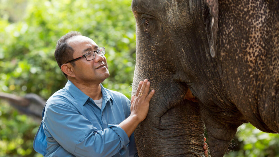 ភាព យន្ត ខ្លី « ពូដំរី ឬ Uncle Elephant » ត្រូវ បាន ជ្រើស រើស យក ទៅ ...