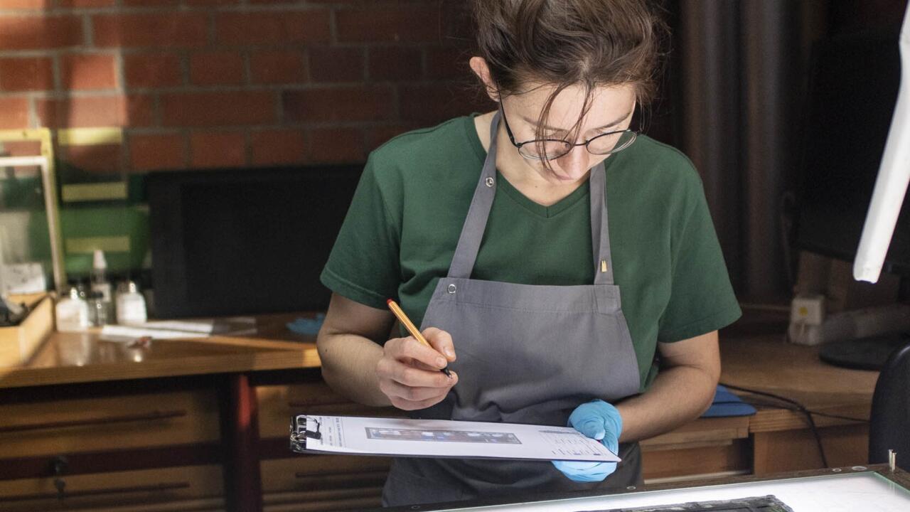 Élodie Schneider: l’engagement d’une vitrailliste à Notre-Dame de Paris ...
