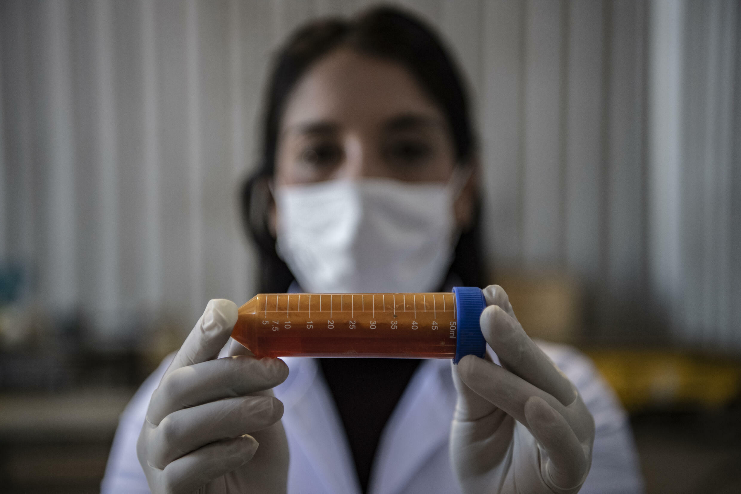 Chilean scientist plans to clean up mining with 'metal eating' bacteria ...