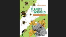 Les derniers podcasts de RFI