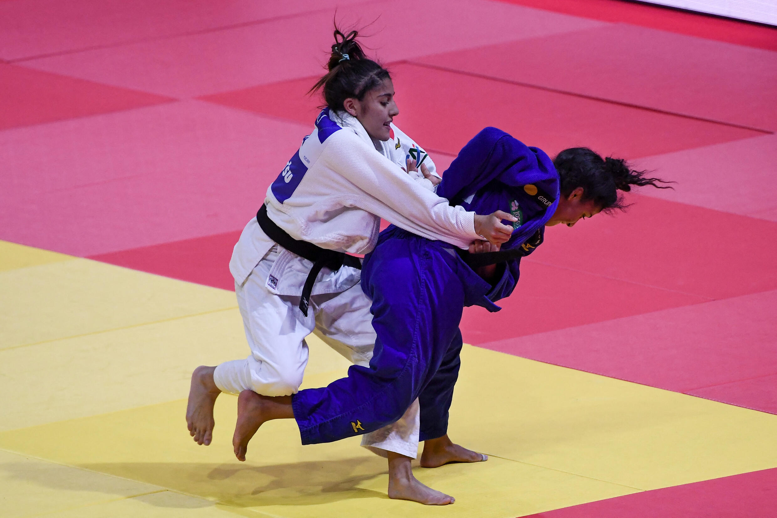 Judocas portuguesas apostam nos Jogos Olímpicos de Paris-2024 - Desporto