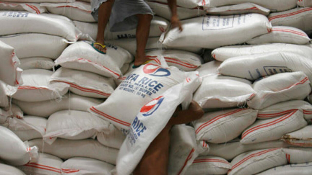 How world rice trade sparked price riots - Culture in France