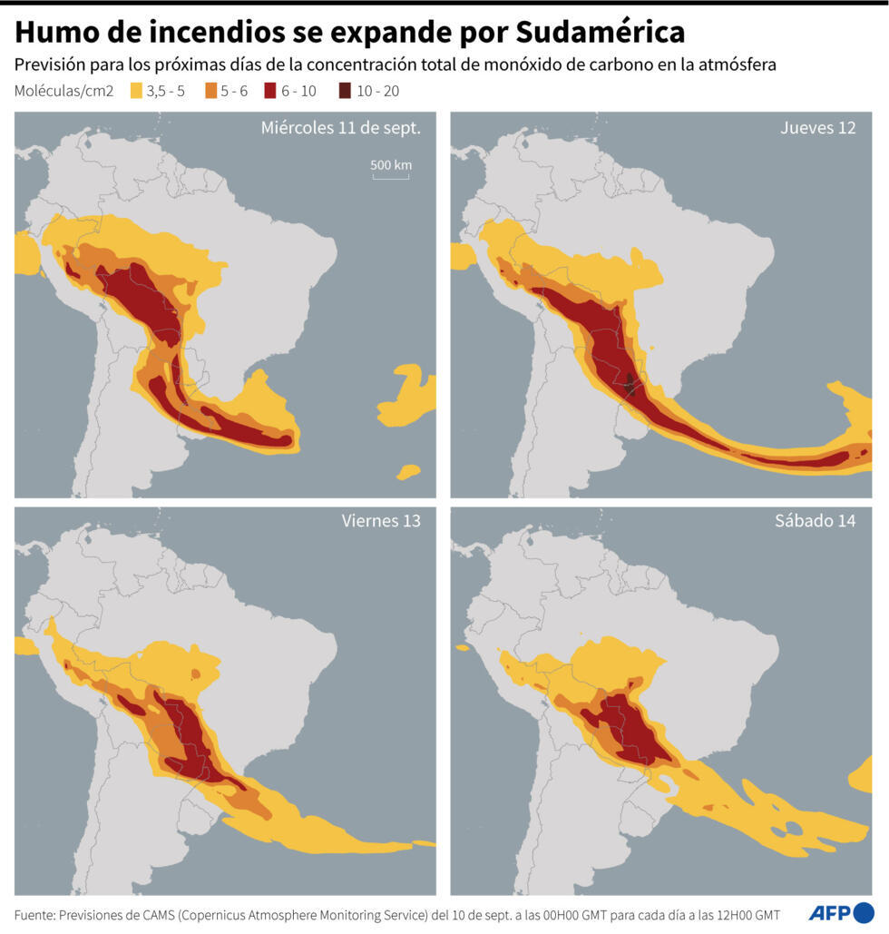 El humo de fuegos en la Amazonía alcanza grandes ciudades de Brasil y ...