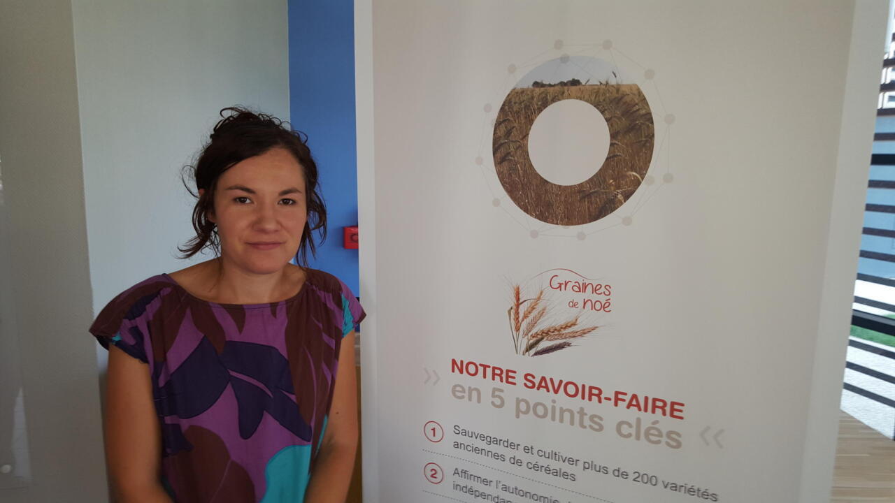 L’association Graines de Noé lutte pour le maintien de la biodiversité ...