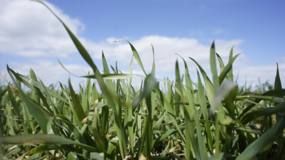 Labaran Wasanni: Labarai da dumi-duminsu wasanni - RFI
