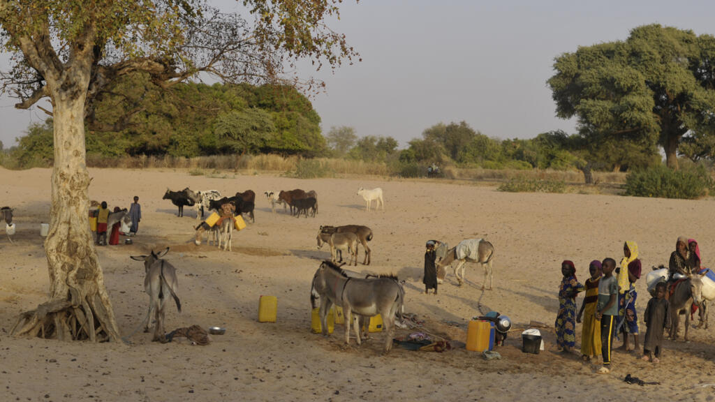 Tchad: Farchana, face à une double crise climatique et humanitaire ...