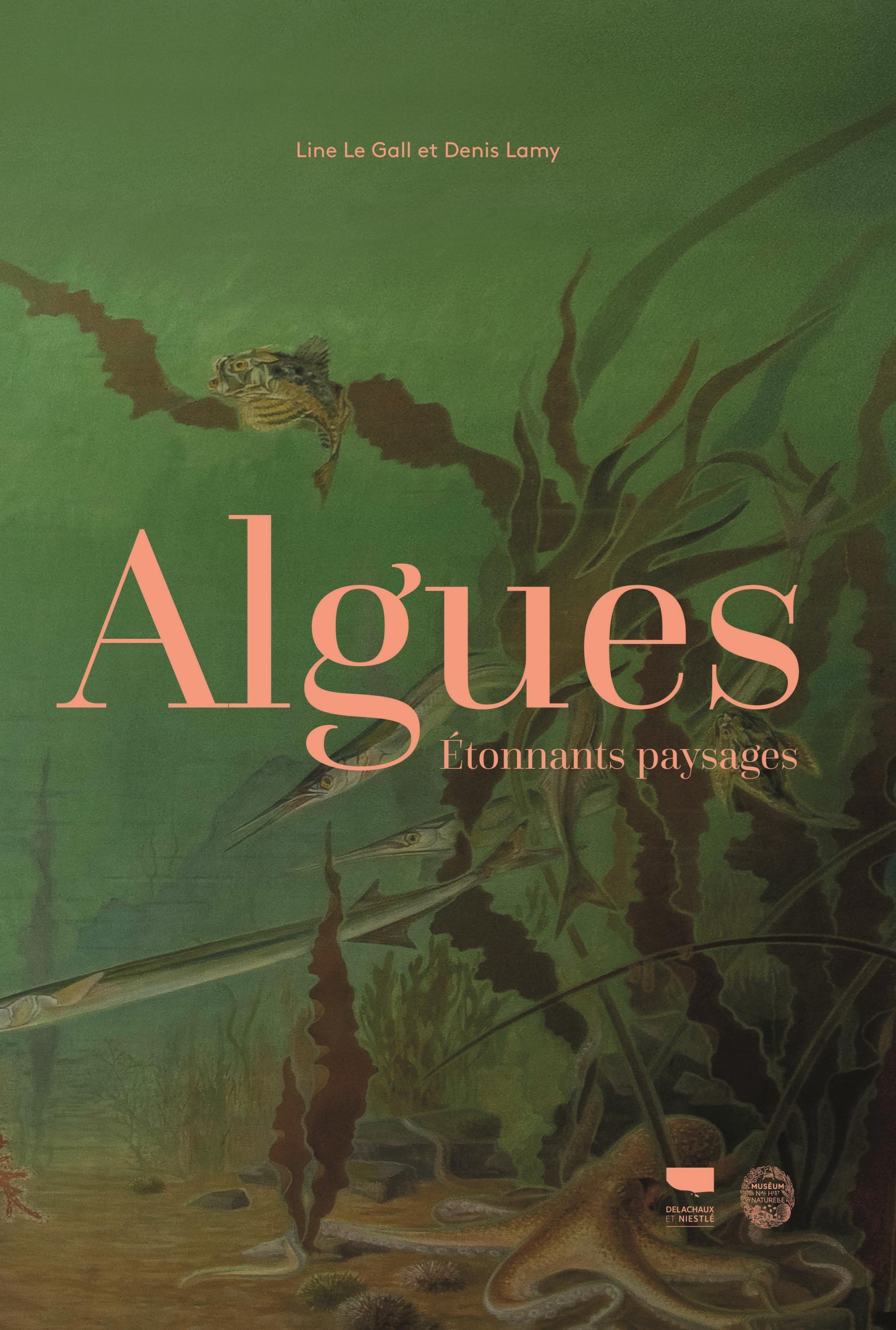 A quoi servent les algues? - Autour de la question, le magazine de ...