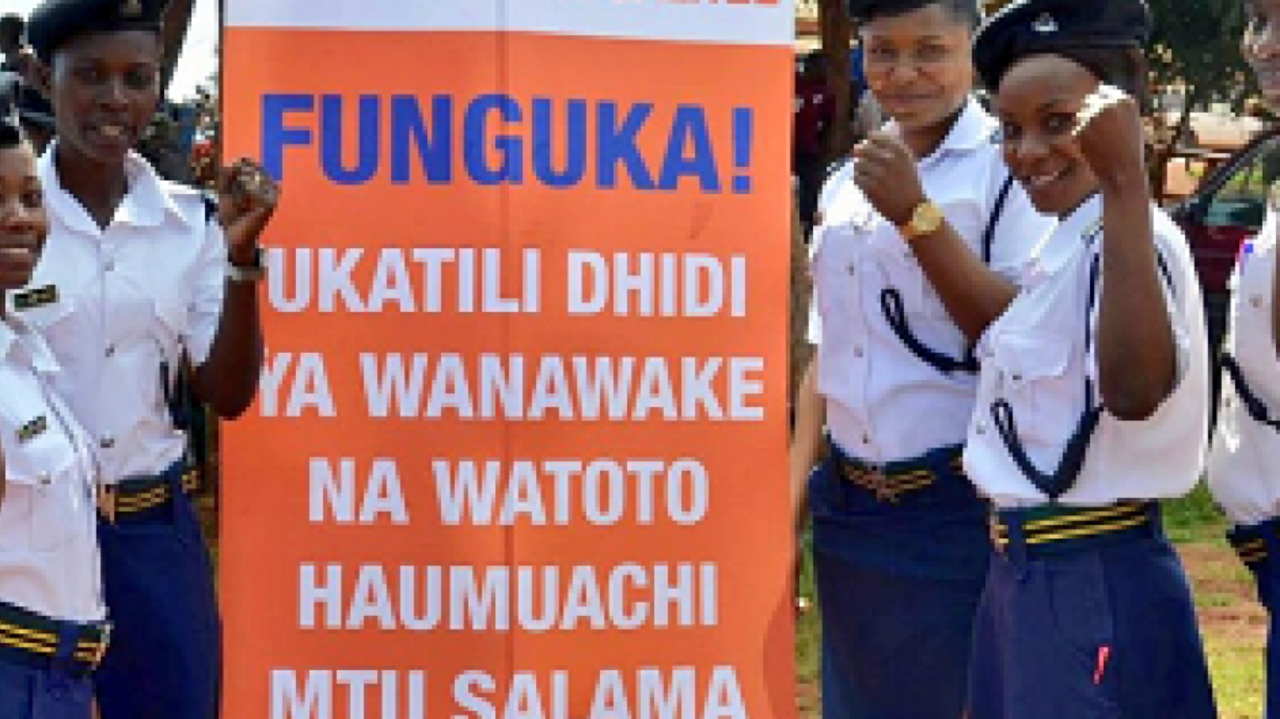 Ukatili wa kijinsia na wajibu wa raia na serikali kukabiliana na ...