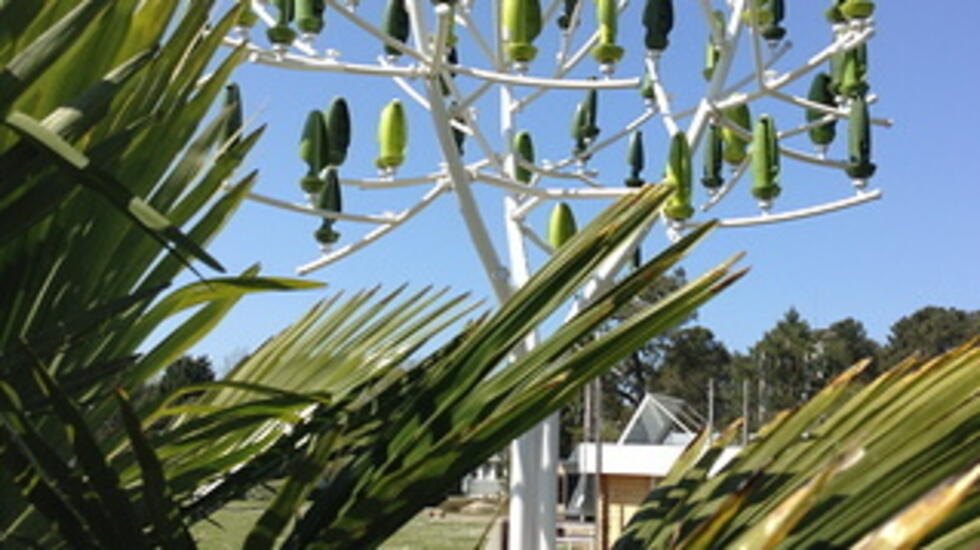 French startup, inspired by trees, finds energy in city wind gusts ...