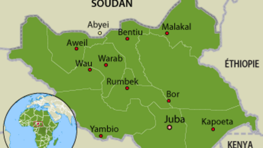Le Soudan du Sud expulse le directeur chinois du groupe pétrolier Petrodar