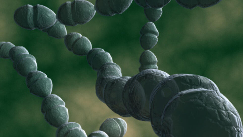 Royaume-Uni: le gouvernement tente d’enrayer la propagation du ...