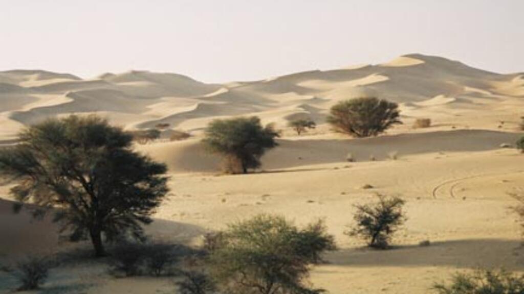 Au Niger, la désertification avance à grands pas - Reportage Afrique