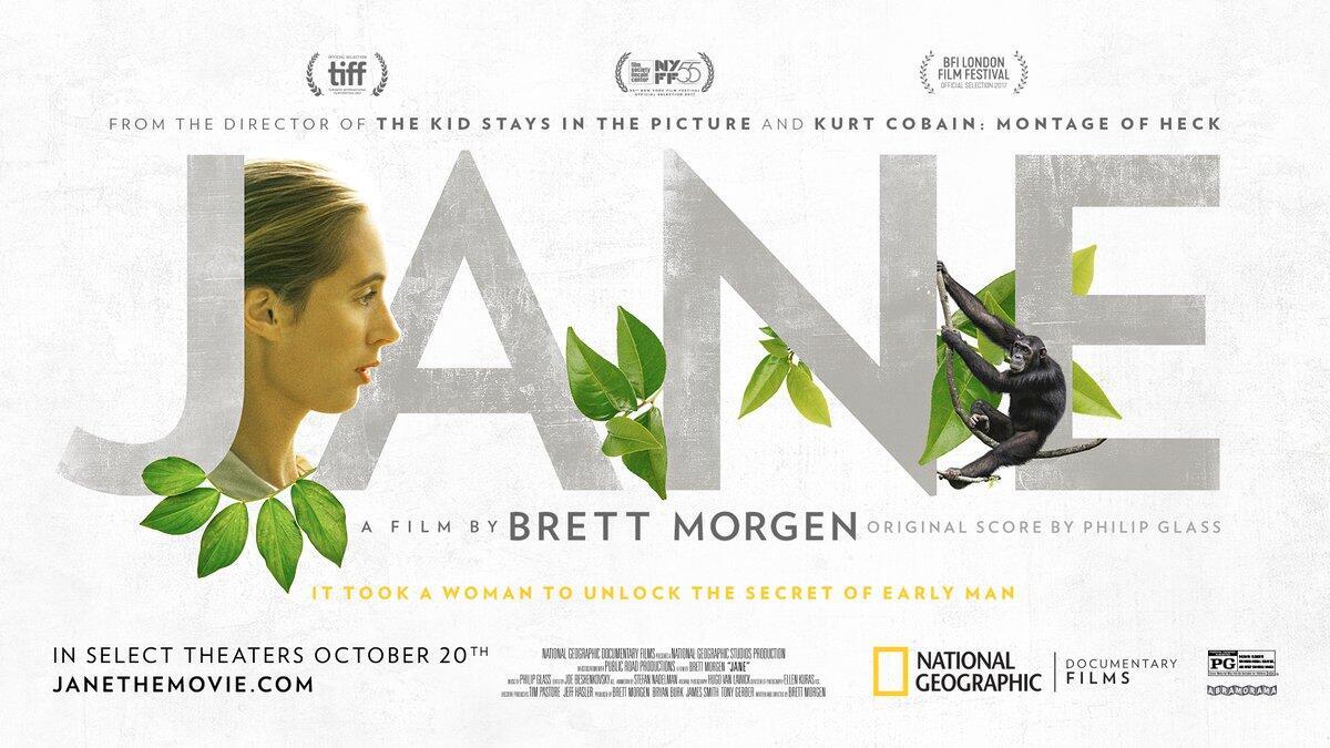 JANE: un retrato intimista de la primatóloga Jane Goodall - Mundo Ciencia