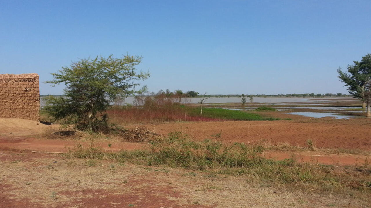 Le groupement des maraîchers du village de Bogoya au Burkina Faso - Le ...