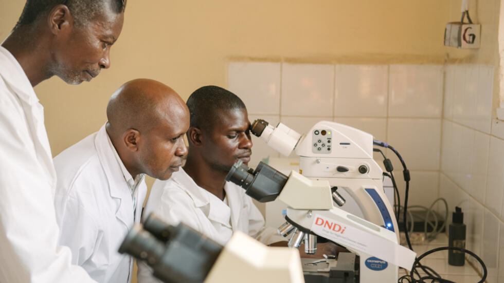 Un nouveau traitement fait espérer l'élimination de la maladie du sommeil