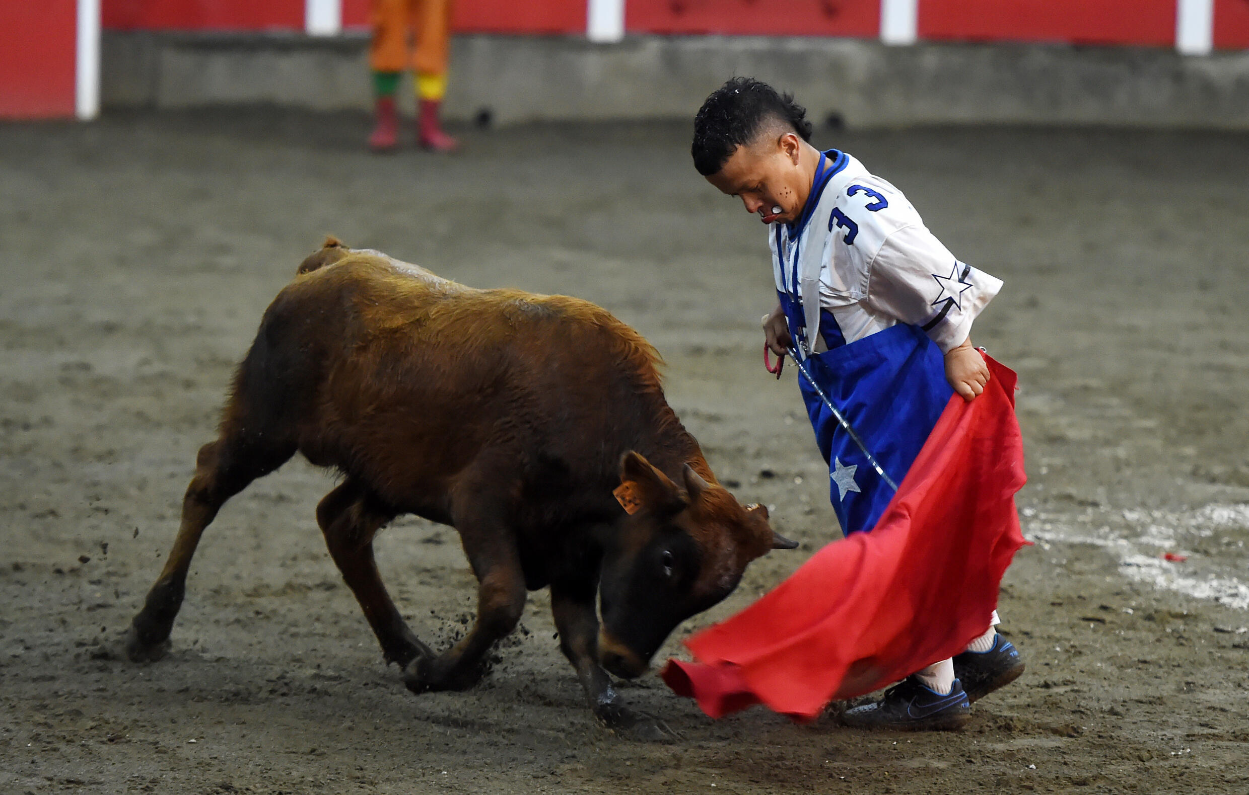 After Spanish ban, dwarf bullfighters take show to…